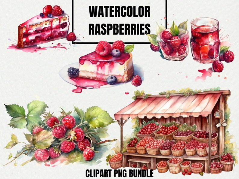 Watercolor Raspberry Clipart Bundle Raspberries Digital PNG Fruit ...