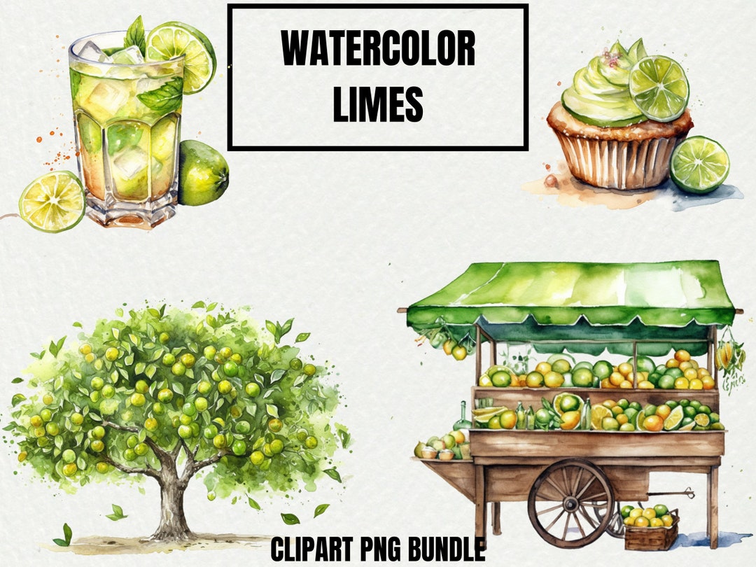 Watercolor Lime Clipart Bundle | Key Lime Pie Digital PNG | Lime Citrus ...
