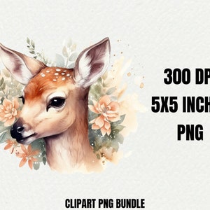 Watercolor Woodlands Animals Clipart | Cute Woodlands Forest Creatures ...