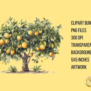 Sweet Lemon Watercolor Clipart Bundle | Digital PNG Lemons | Citrus ...
