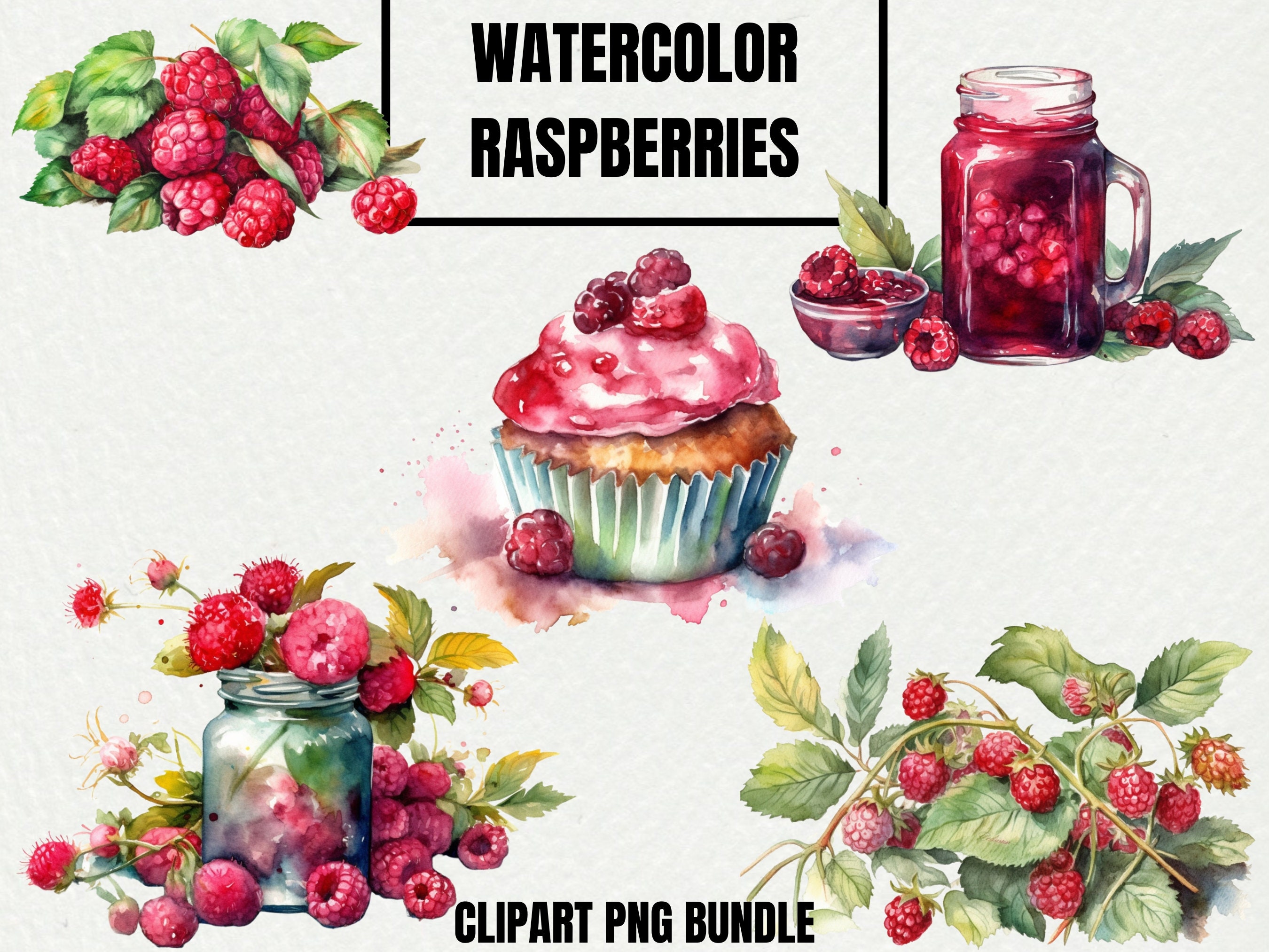 Watercolor Raspberry Clipart Bundle Raspberries Digital PNG Fruit ...