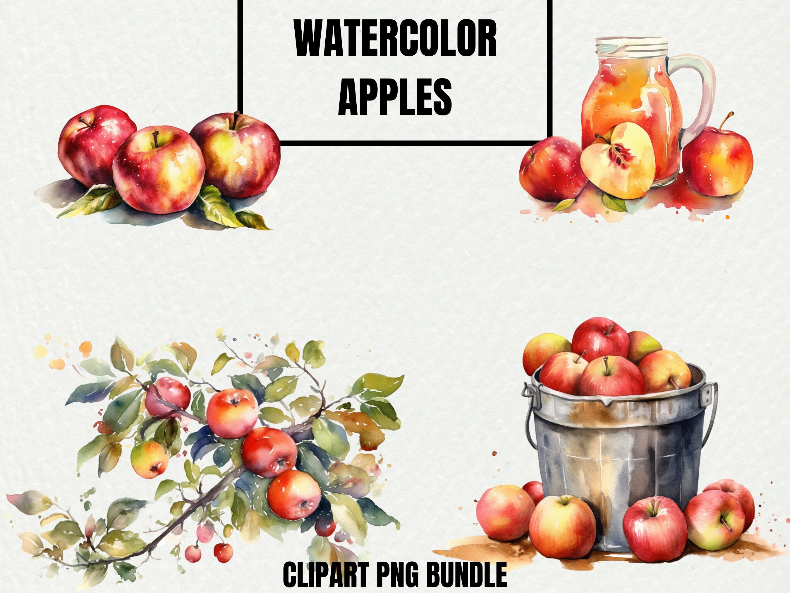 Watercolor Apples Clipart Bundle | Apple Harvest Digital PNG | Red ...