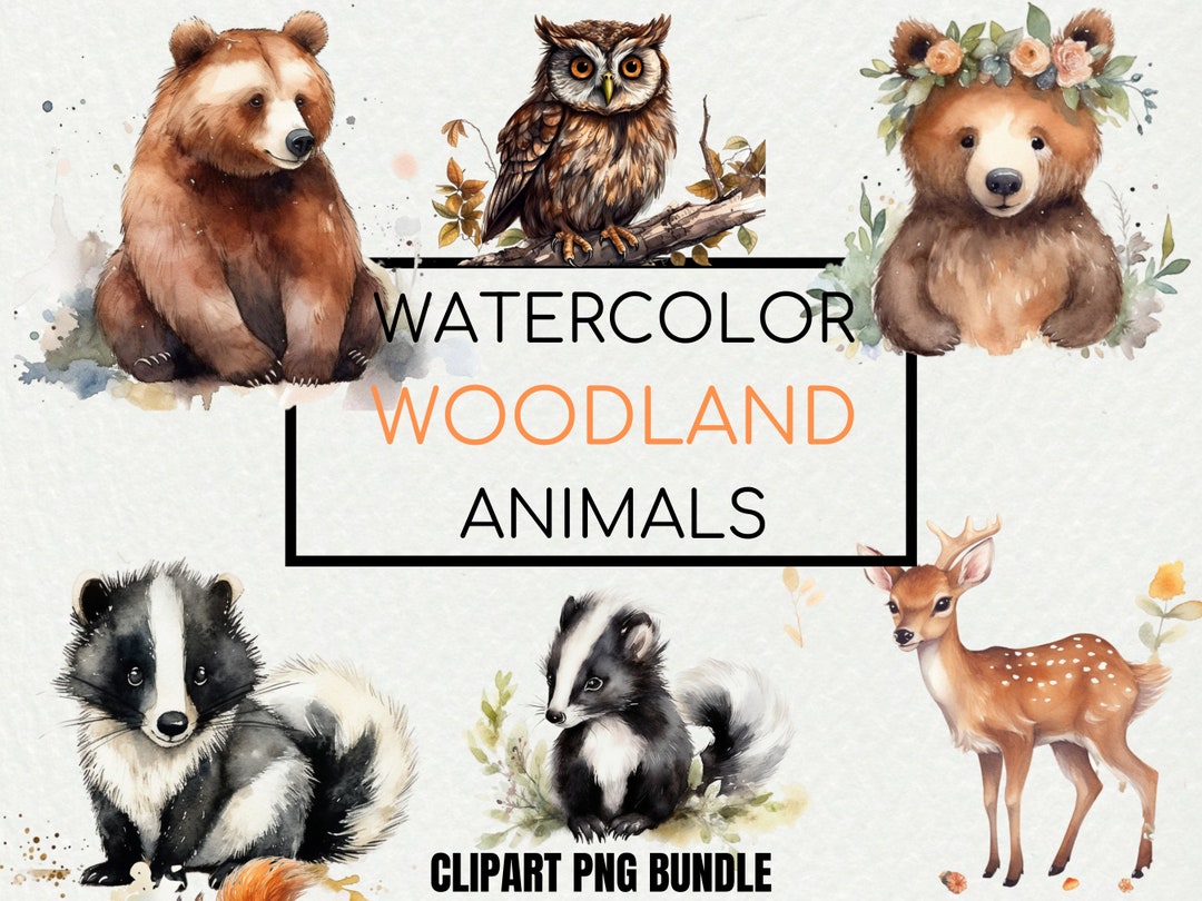 Watercolor Woodlands Animals Clipart | Cute Woodlands Forest Creatures ...