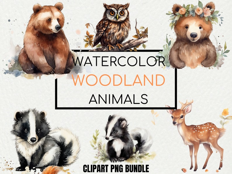Watercolor Woodlands Animals Clipart | Cute Woodlands Forest Creatures ...