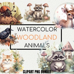 Watercolor Woodlands Animals Clipart | Cute Woodlands Forest Creatures ...