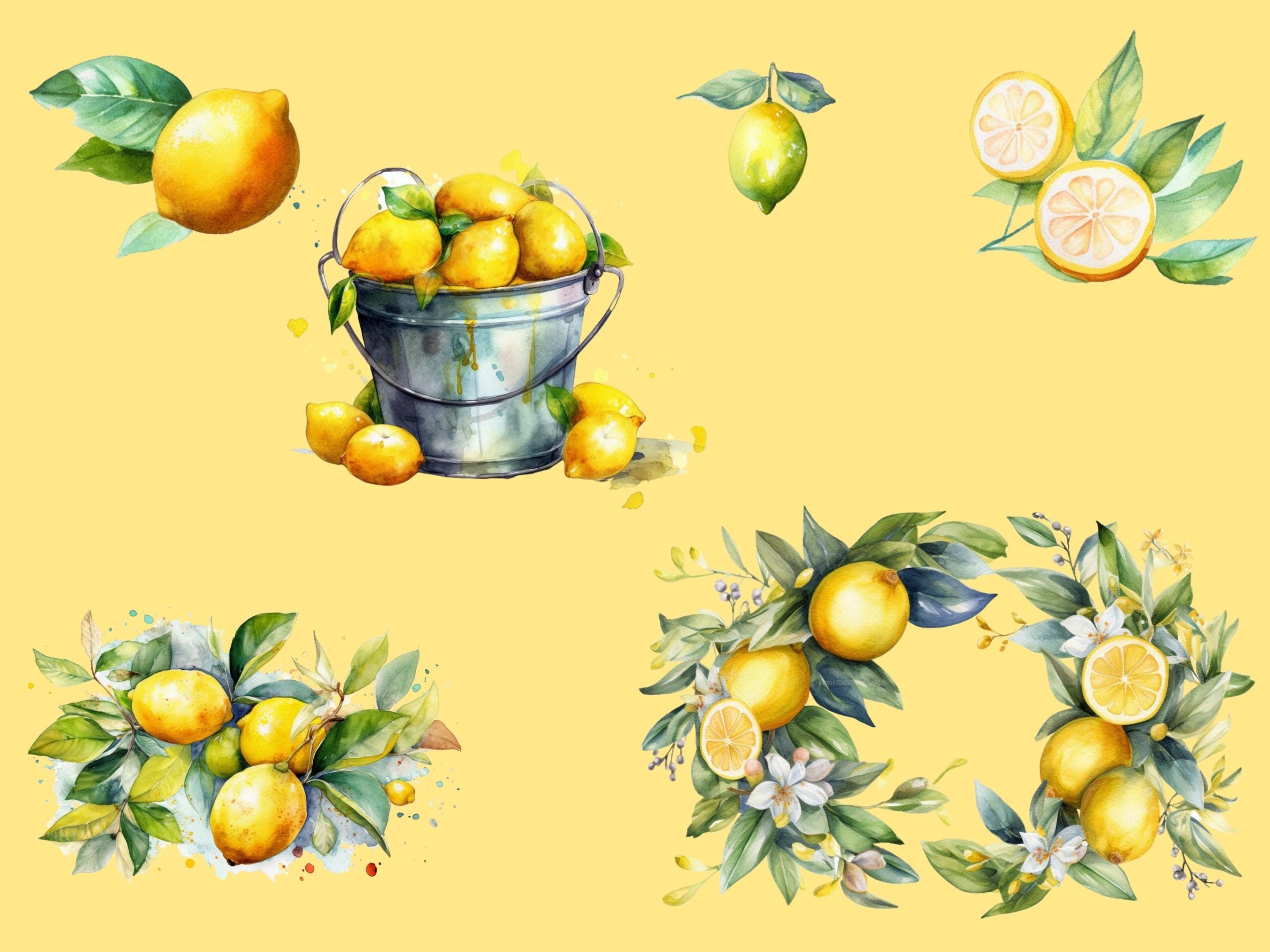 Sweet Lemon Watercolor Clipart Bundle | Digital PNG Lemons | Citrus ...