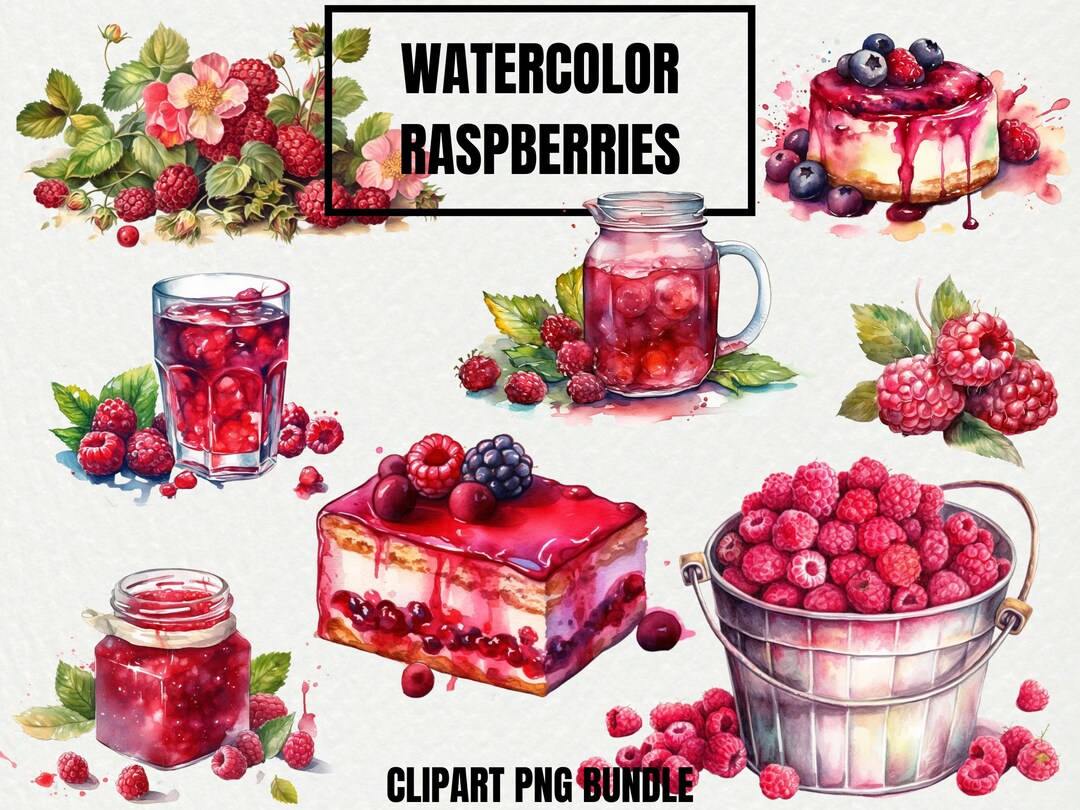 Watercolor Raspberry Clipart Bundle | Raspberries Digital PNG | Fruit ...