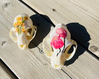 Wild Cat Skull - Etsy
