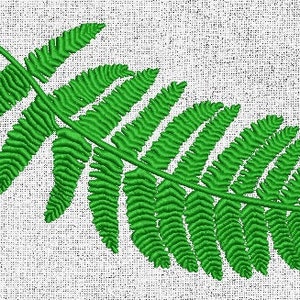 Machine Embroidery Designs Fern Leaf 3 Sizes - Etsy