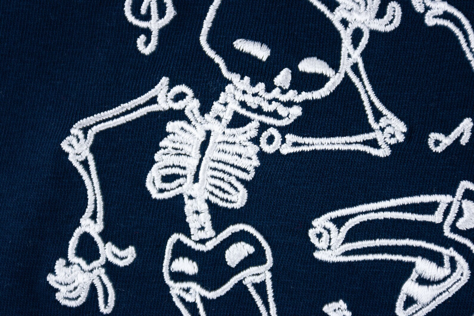 Halloween Skeletons Machine Embroidery Designs. Spooky - Etsy