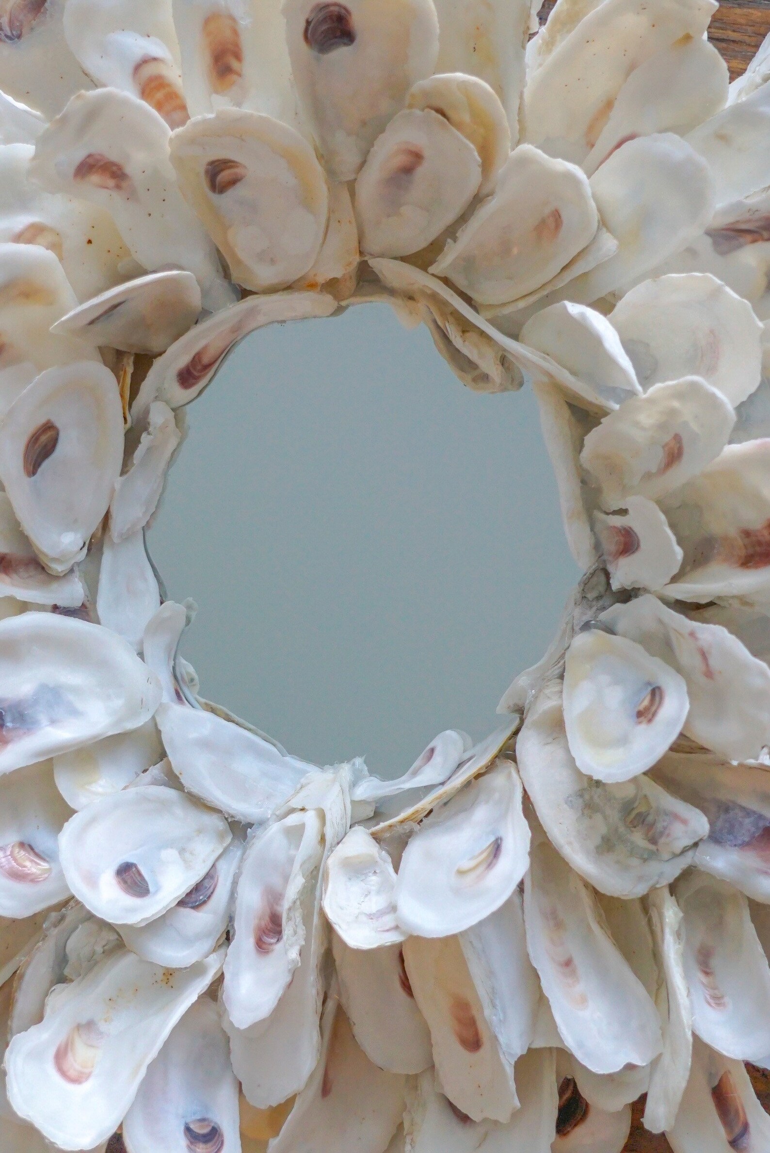 Oyster Shell Mirror | Etsy