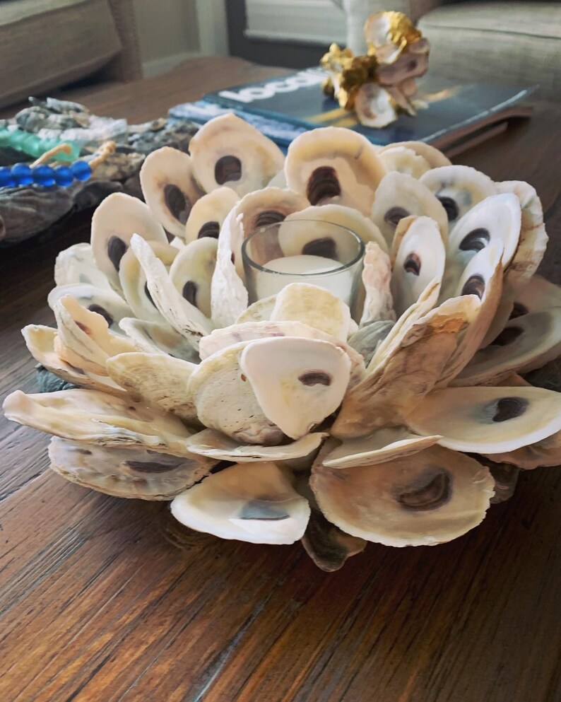 Oyster Shell Candle Holder - Etsy