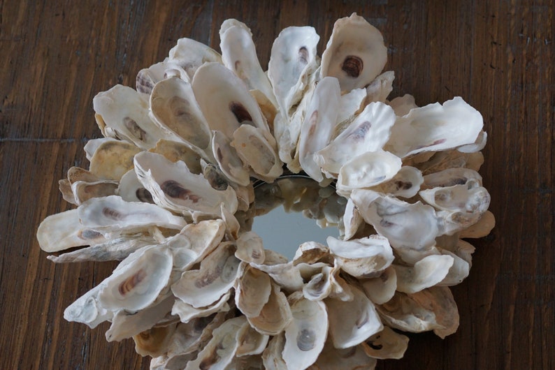 Oyster Shell Mirror - Etsy