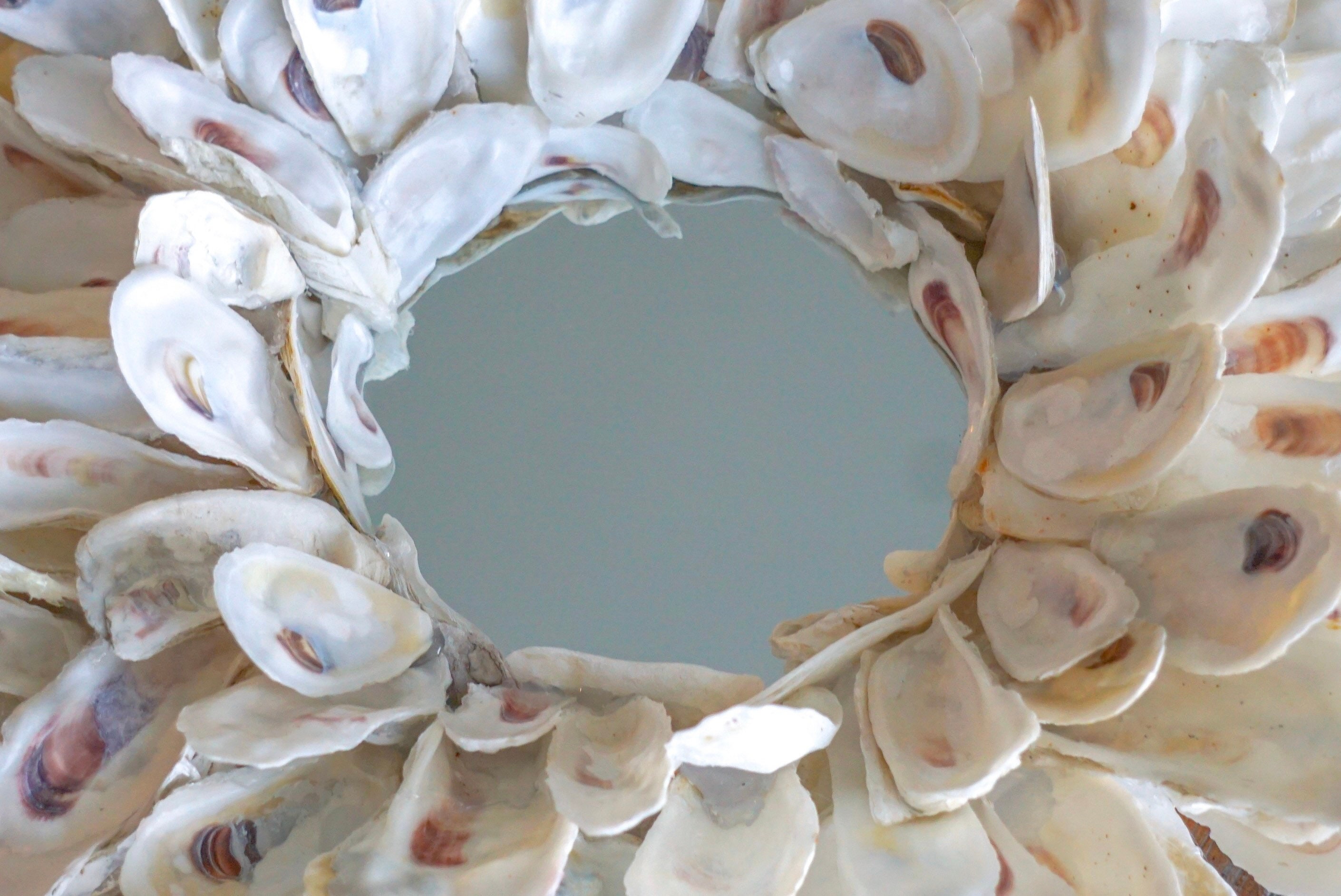 Oyster Shell Mirror - Etsy