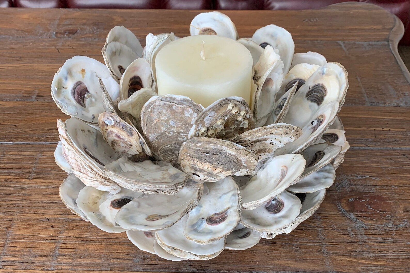 Oyster Shell Candle Holder - Etsy