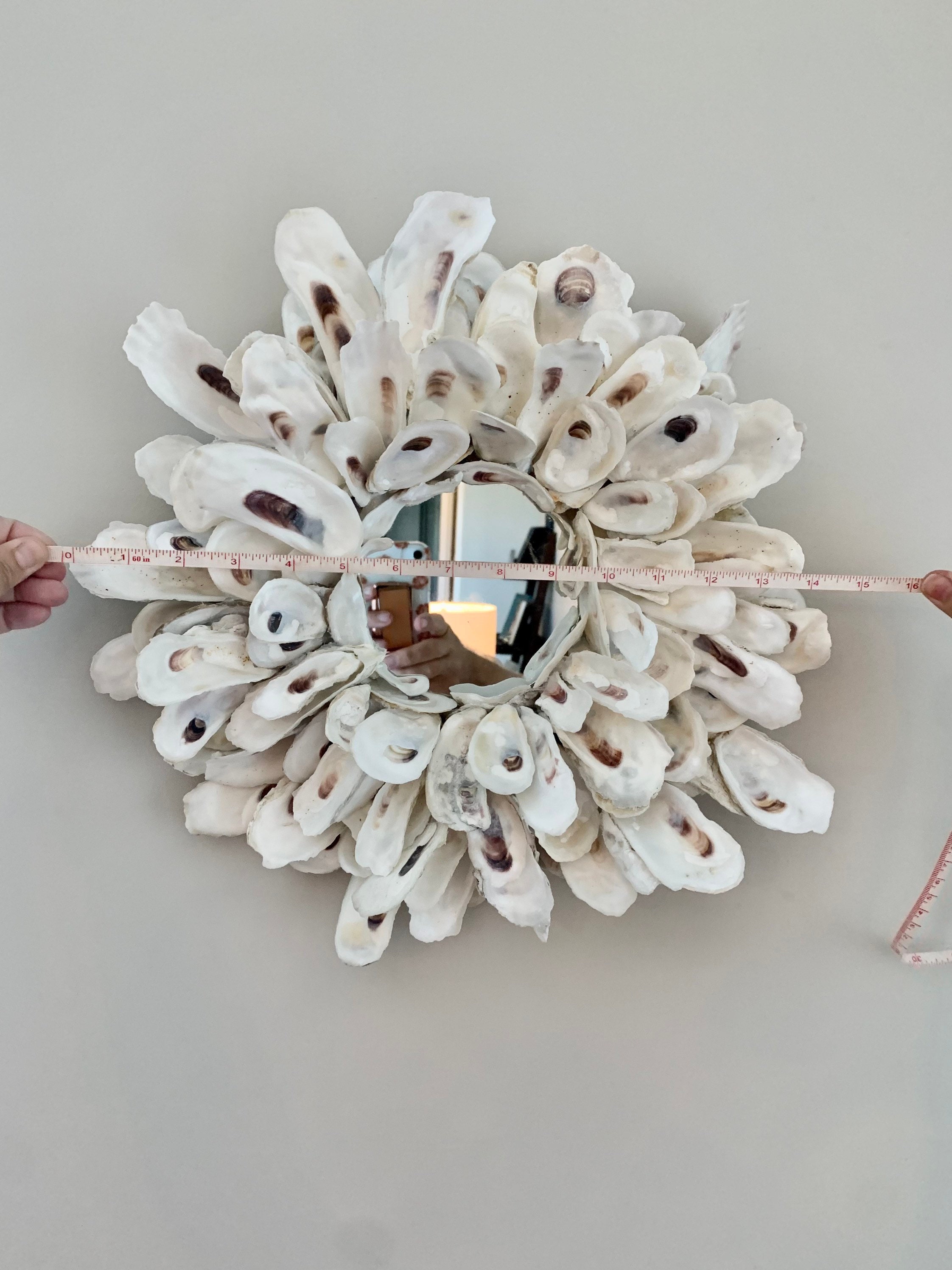 Oyster Shell Mirror - Etsy