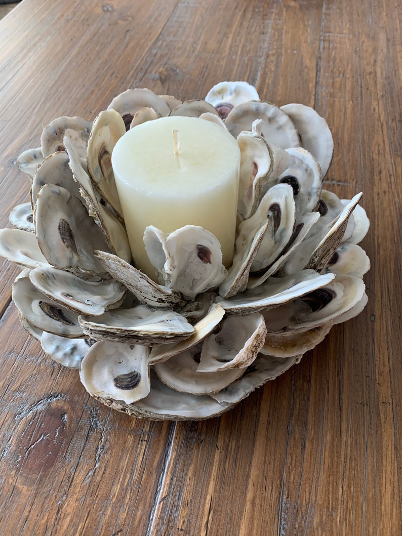 Oyster Shell Candle Holder - Etsy