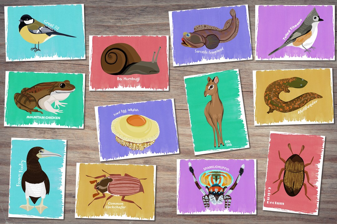 Nature s Finest Cards Rude Animal Names Boobies Tits Etsy