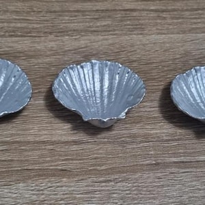 3 Seashells Demolition Man - Etsy