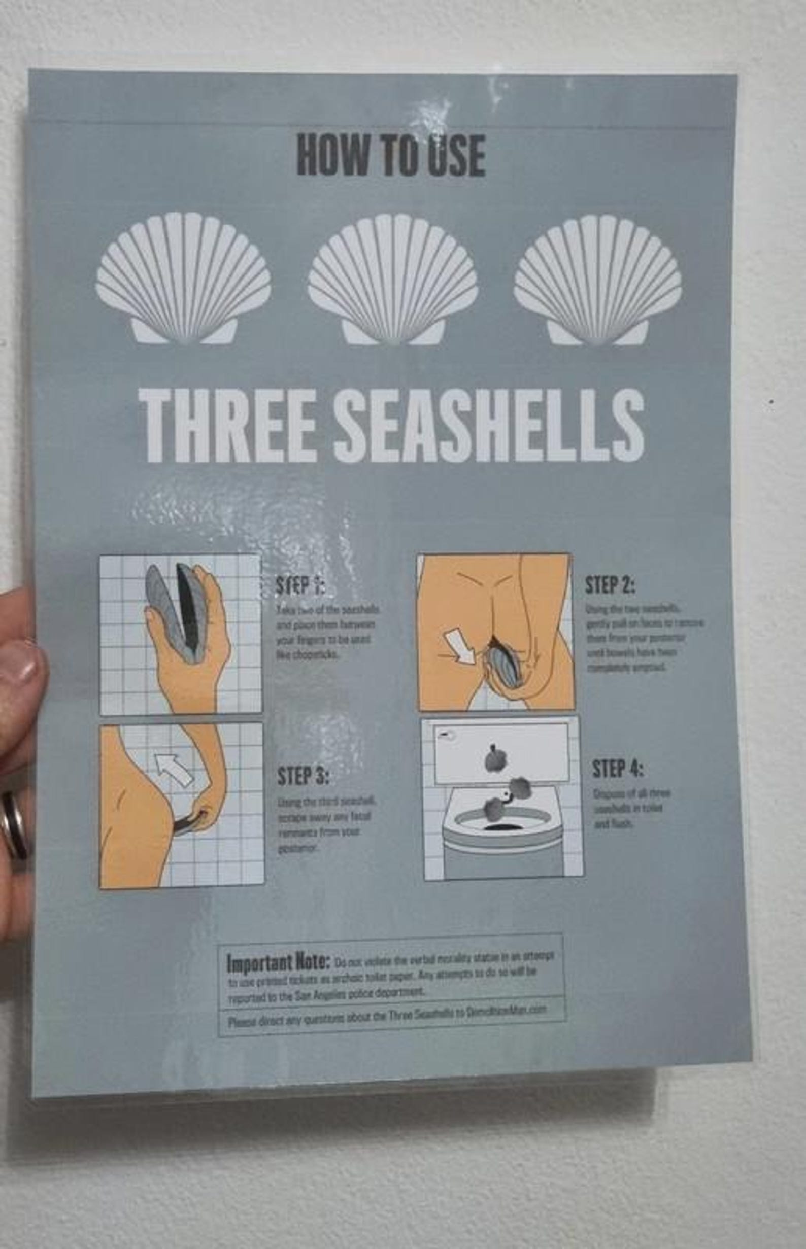 3 Seashells Demolition Man - Etsy UK