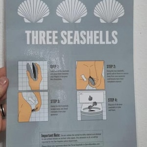 3 Seashells Demolition Man - Etsy