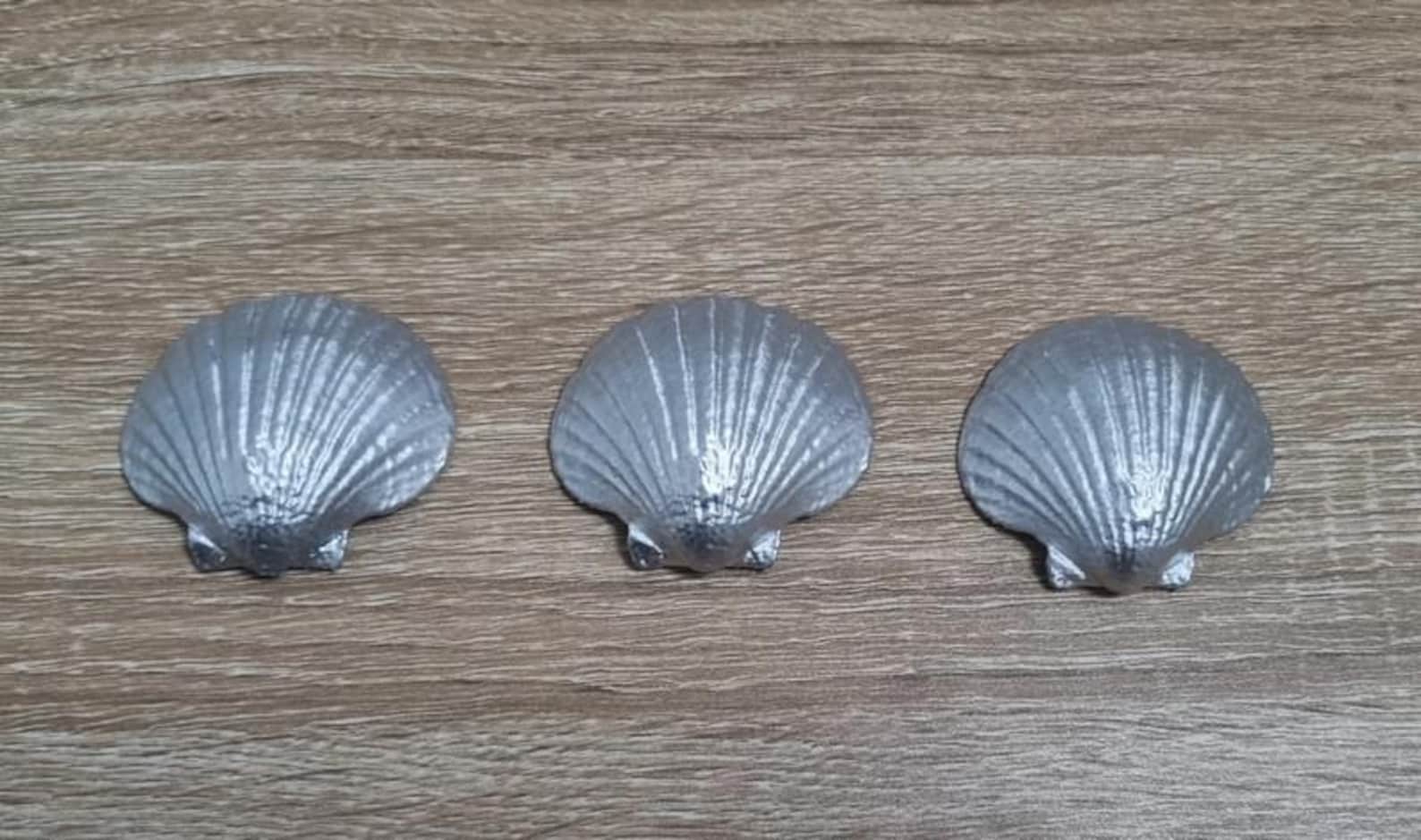 3 Seashells Demolition Man - Etsy