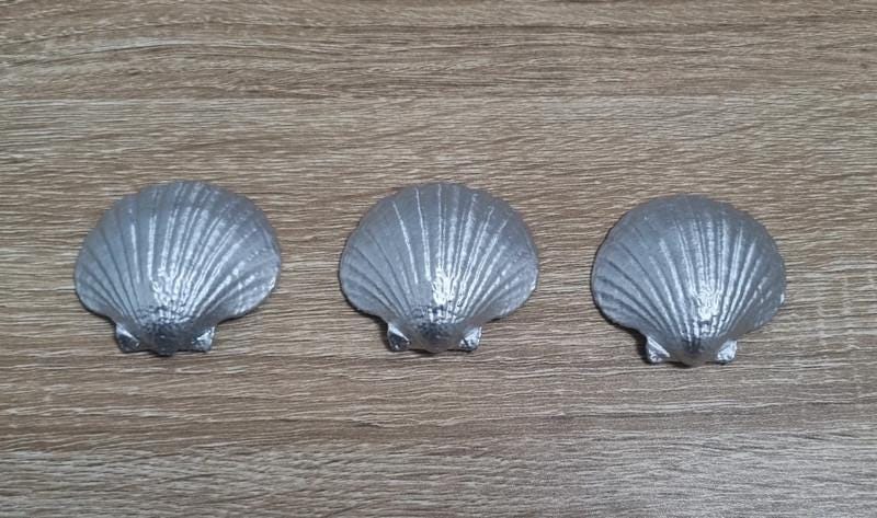 3 Seashells Demolition Man - Etsy