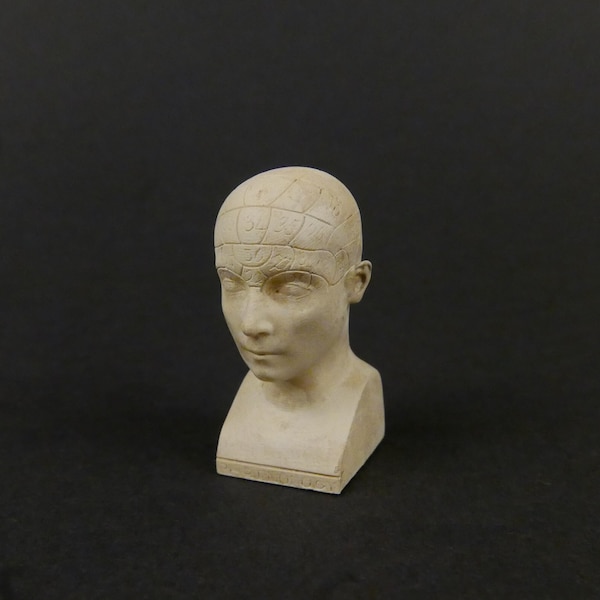 Phrenology Head Etsy