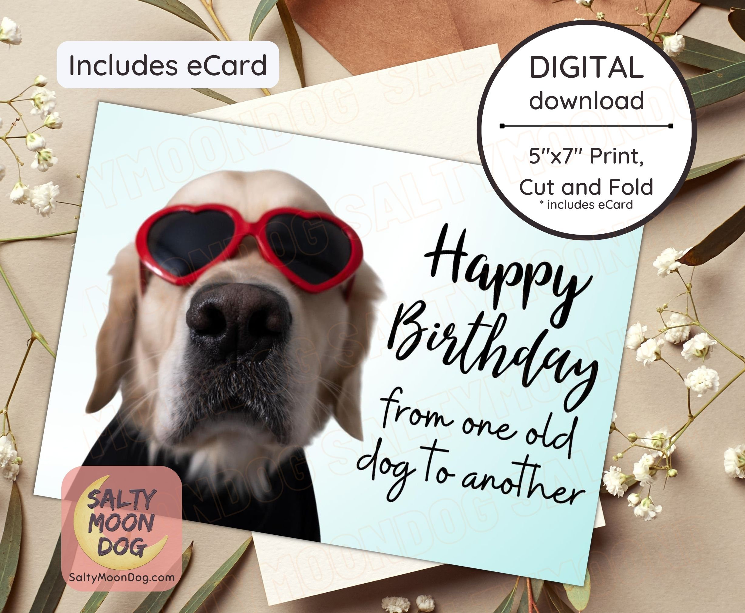 Funny Dog Birthday Card: Old Dog Design (printable & Ecard) - Etsy