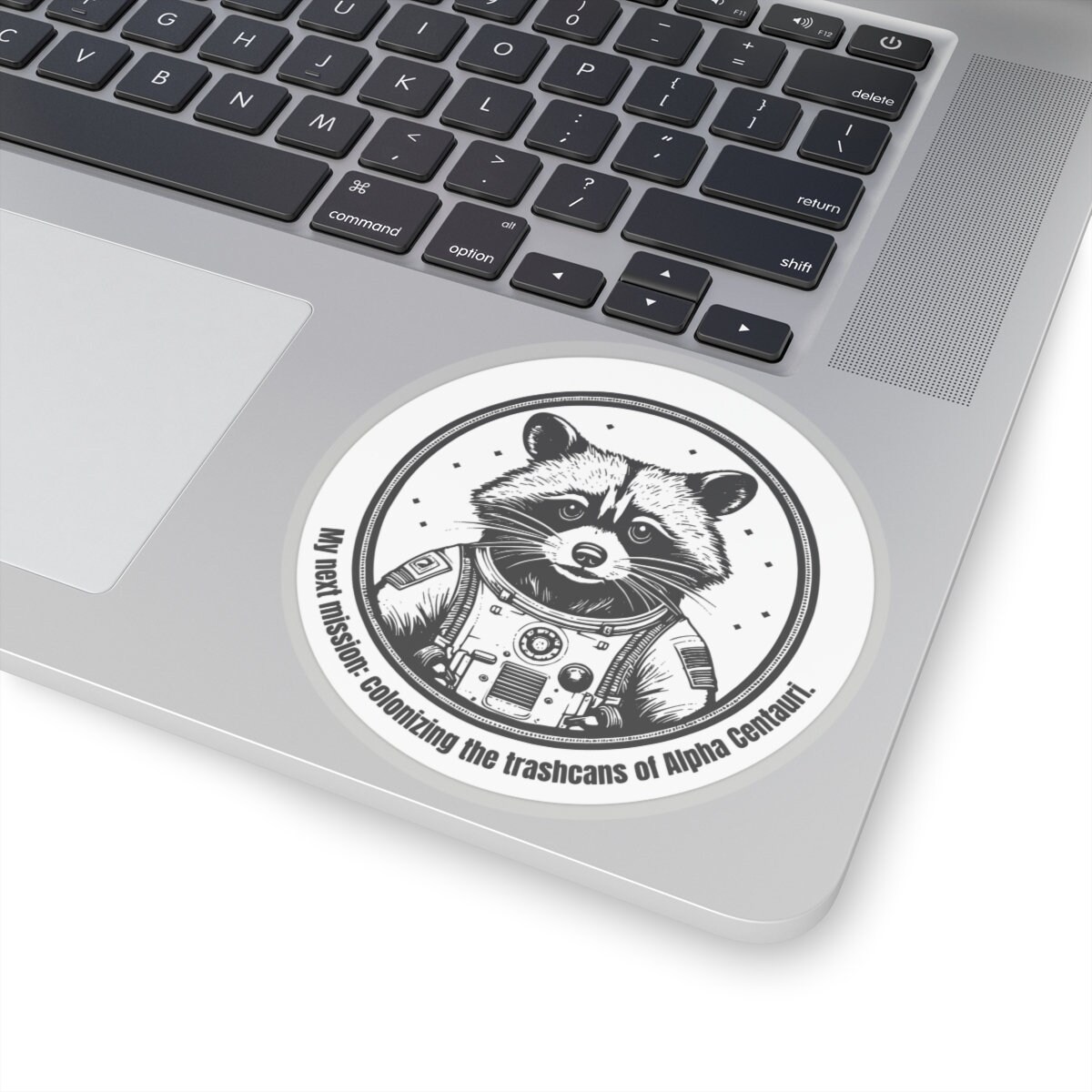 Funny Raccoon Sticker Meme Bumper Sticker Funny Cute Raccoon Gift Funny ...