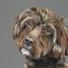 Cockapoo Greeting Card - Etsy