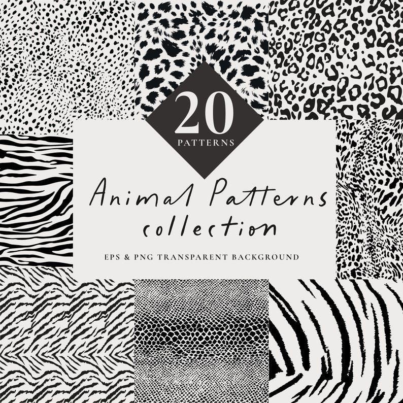 Animal Seamless Skin Patterns, Wild Animal Skin Fur Seamless Textures ...