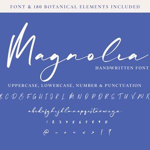 Botanical, Floral and Wildflowers Line Art Collection, Handwriting ...