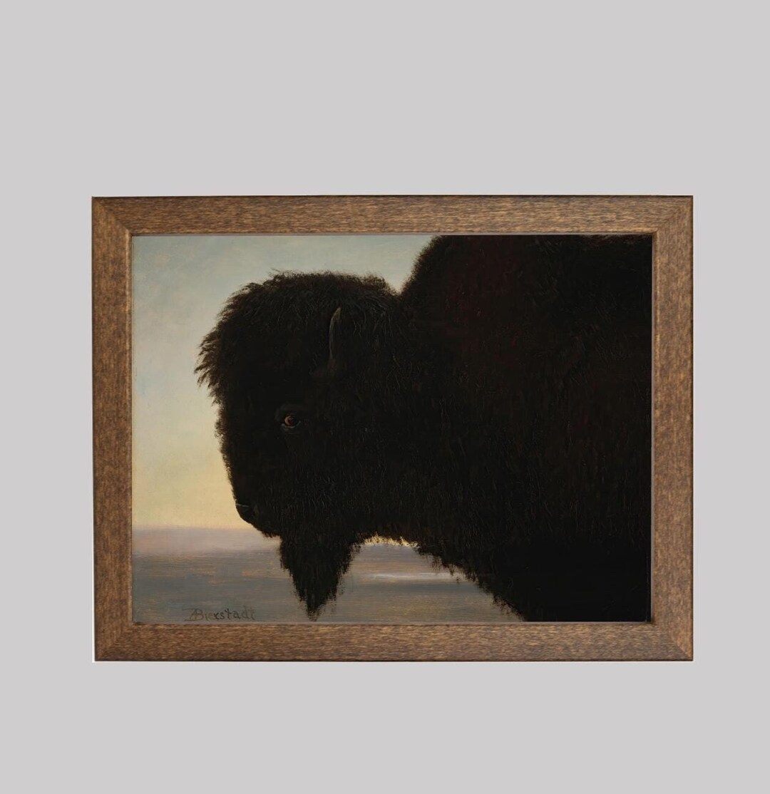 Buffalo Head, a Striking Portrait of a Large American Buffalo - FREE ...