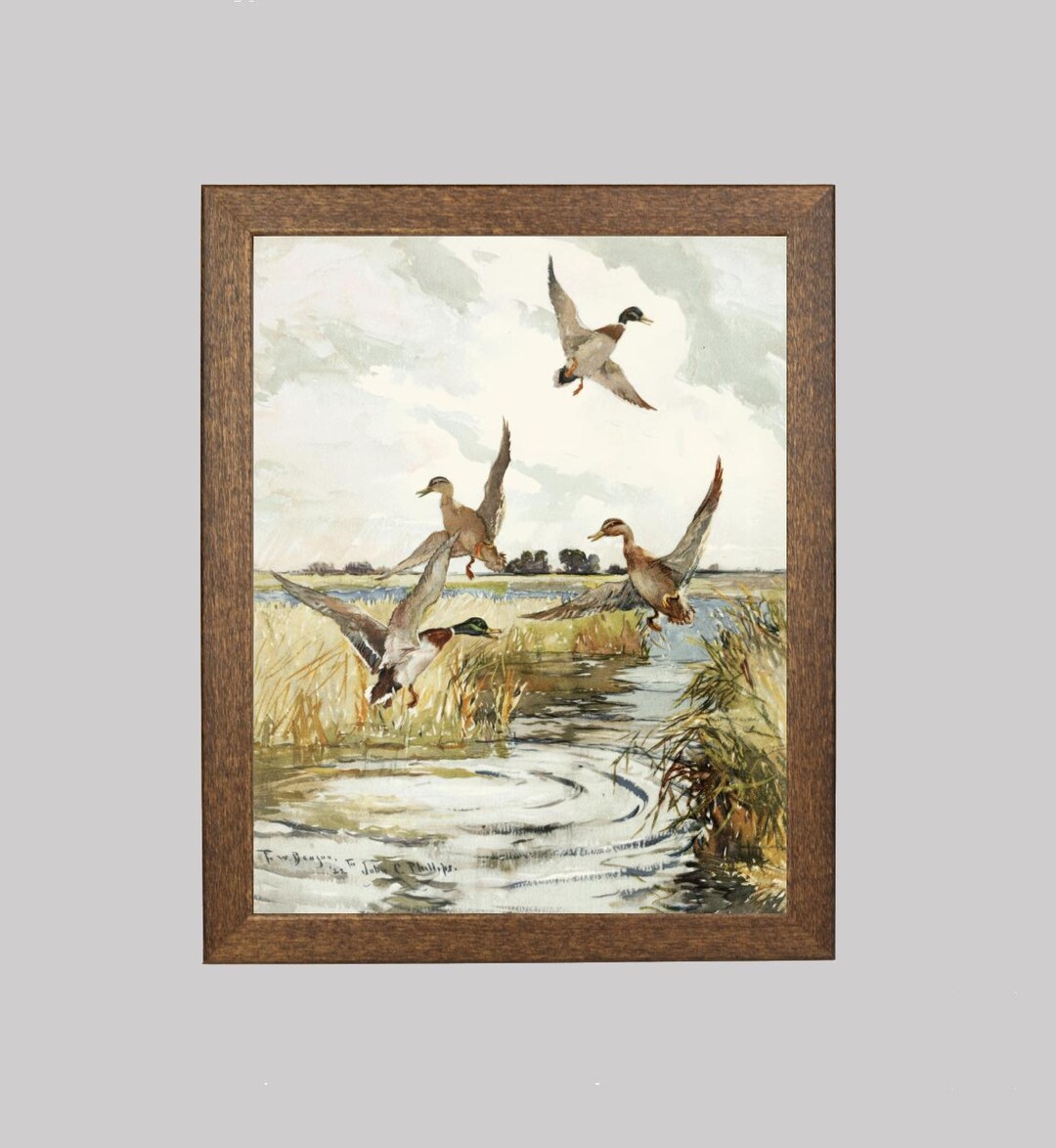 Rising Mallard - Classic Watercolor Birds Artwork - Vintage Wildlife ...