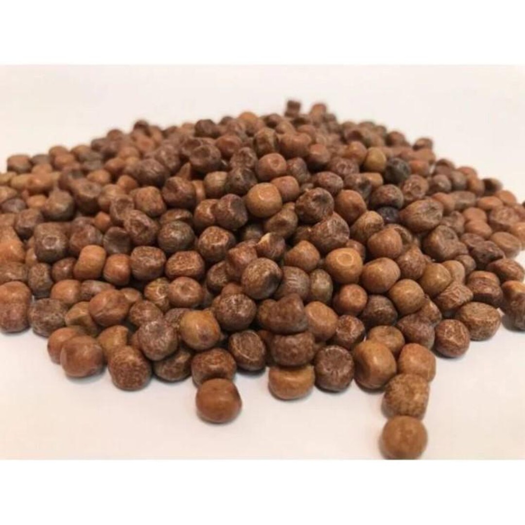 50 LB. IDEAL Maple Feed Peas - Best for Pigeon Feed Mixes - Etsy