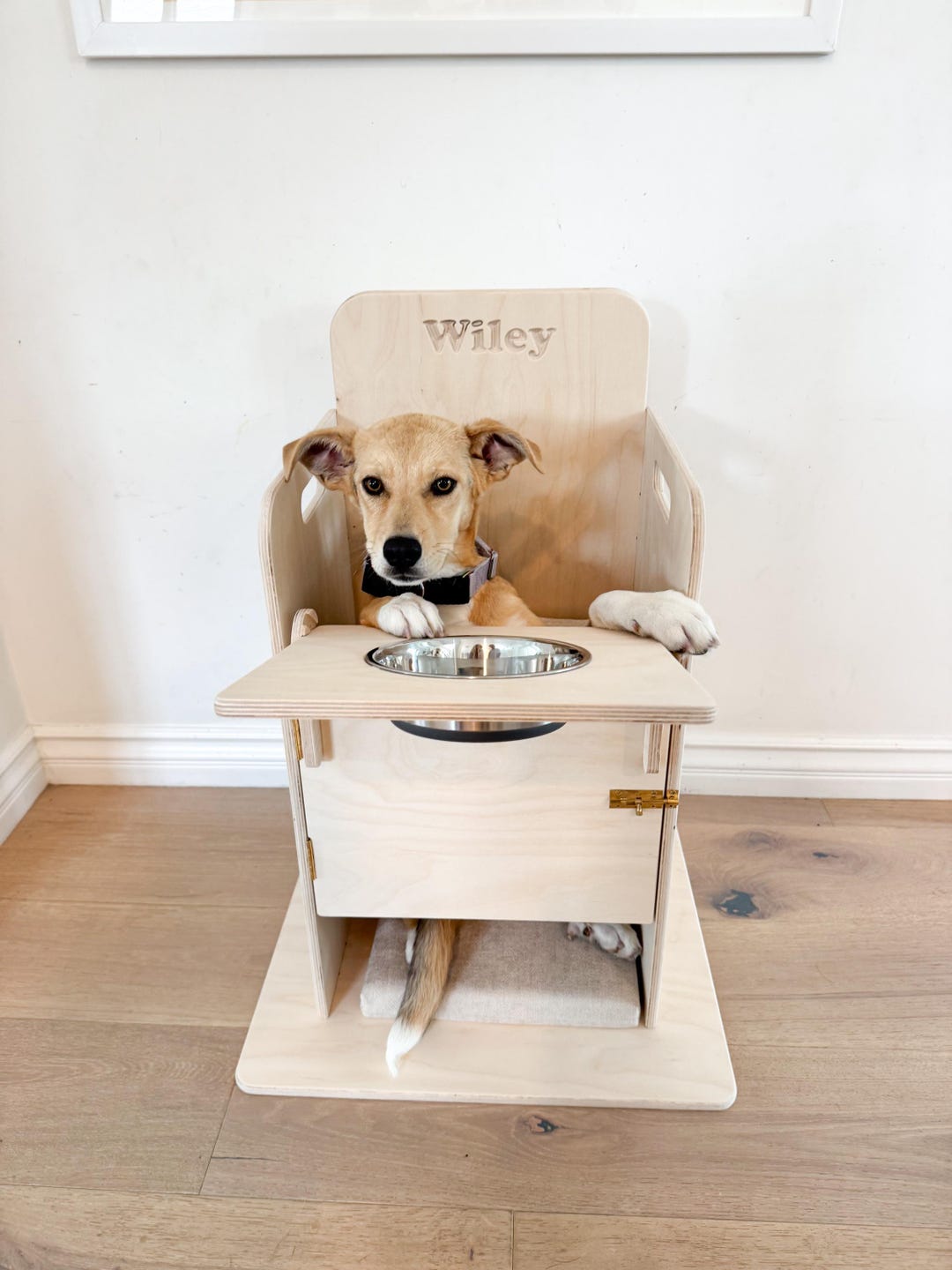 Dog High Chair for Megaesophagus Bailey Chair for Dogs Dog Feeding ...