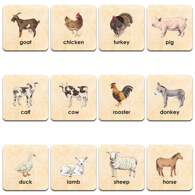 Montessori Wooden Farm Animal Game Animal Memory Cards - Etsy