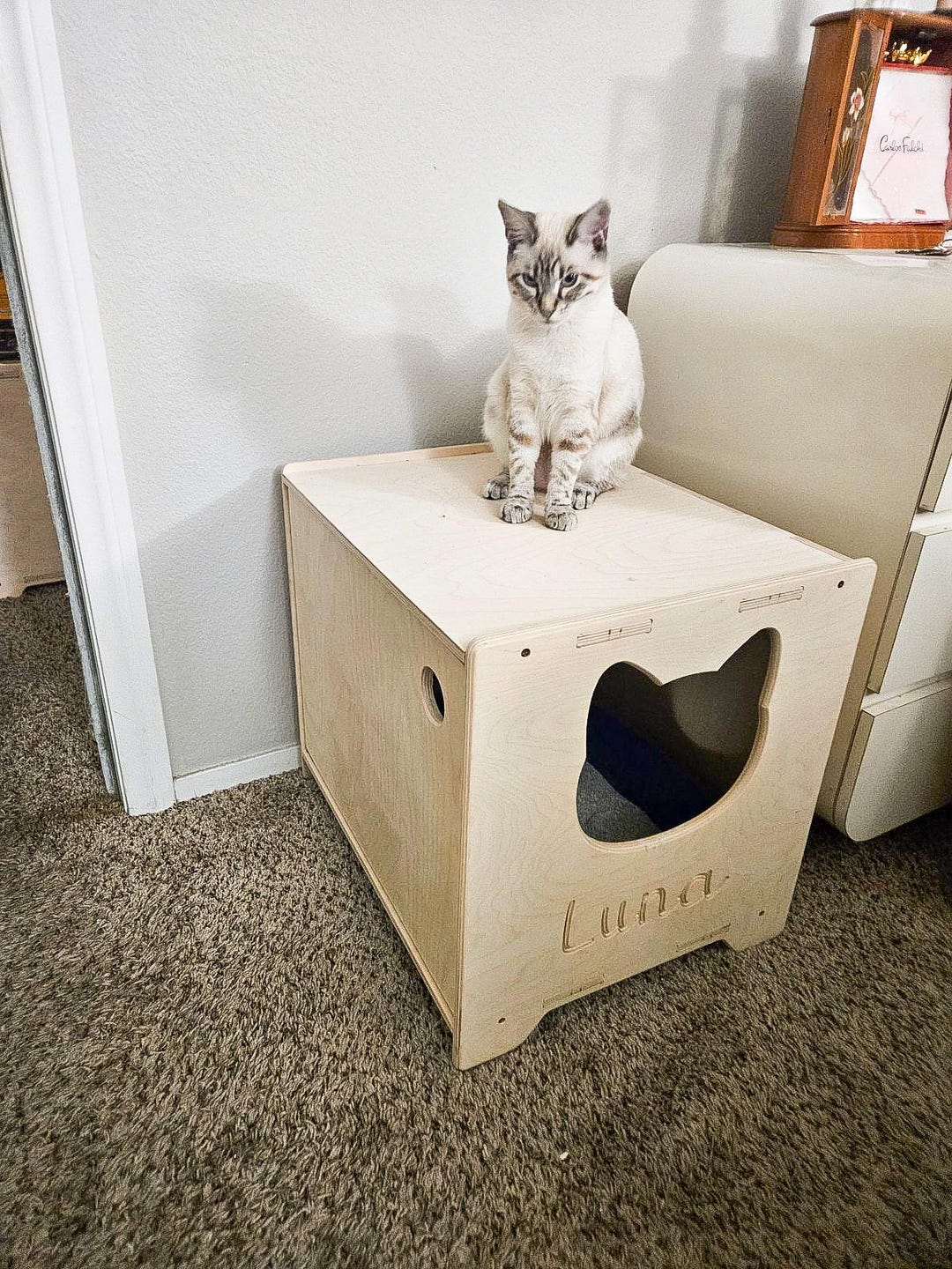Personalized Litter Box Cat Litter Enclosure With Name Litter Cat Bed Cat House for Kitty Litter ...
