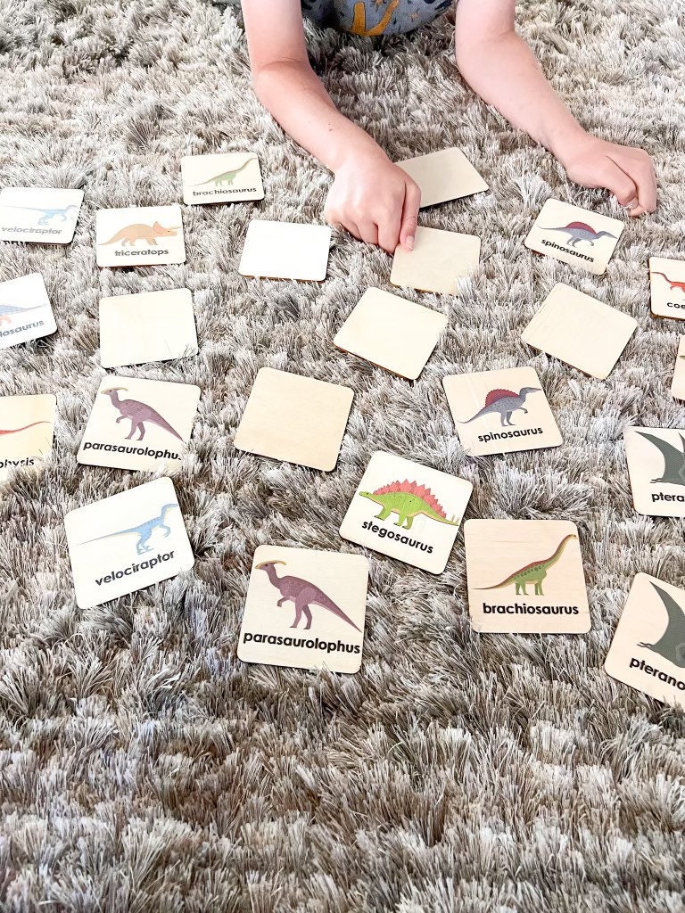 Montessori Wooden Dinosaur Memory Game Cards – Educational Toddler ...