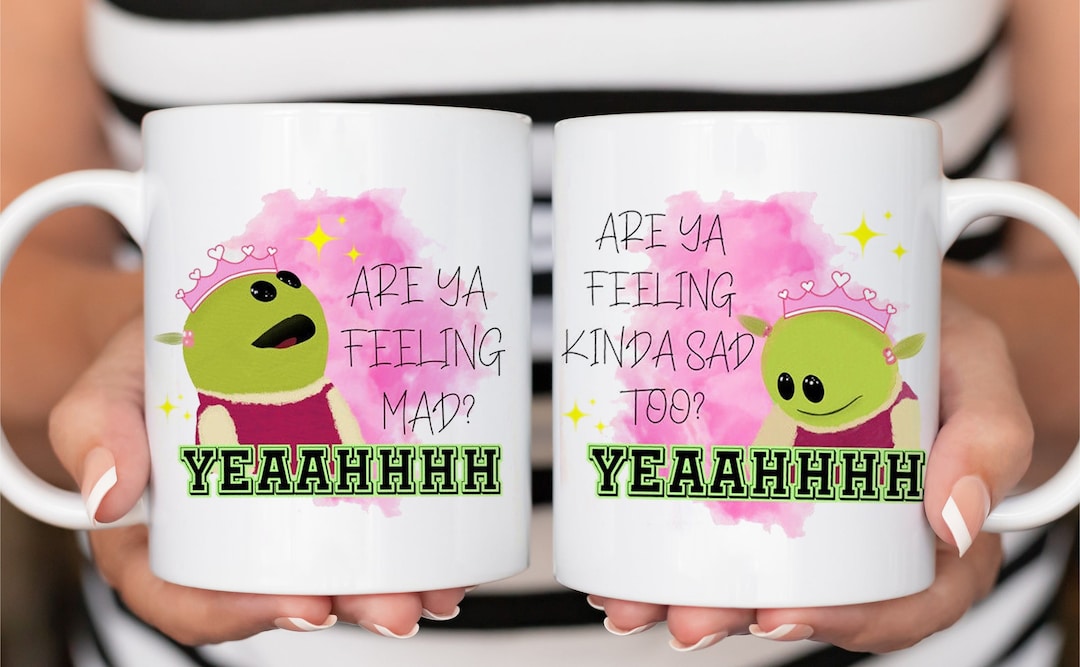 Are You Feeling Mad, Are You Feeling Kinda Mad Mug, Nanalan Meme Mug ...