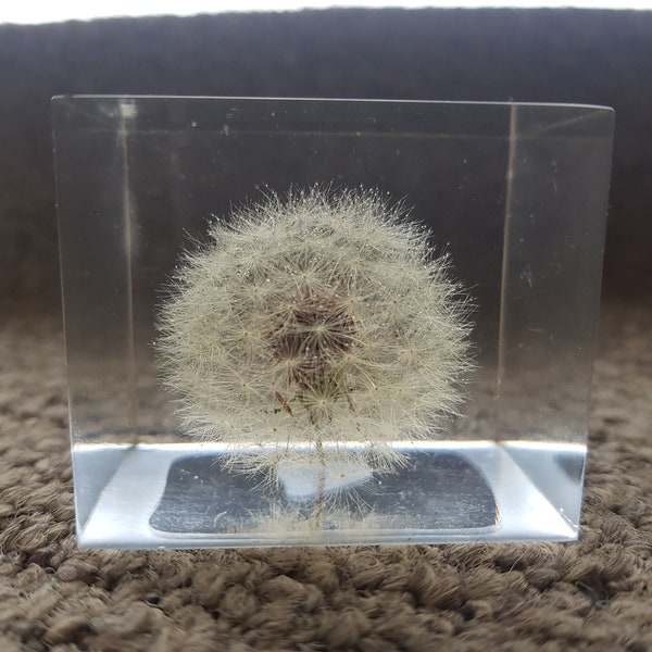 Dandelion in Resin - Etsy