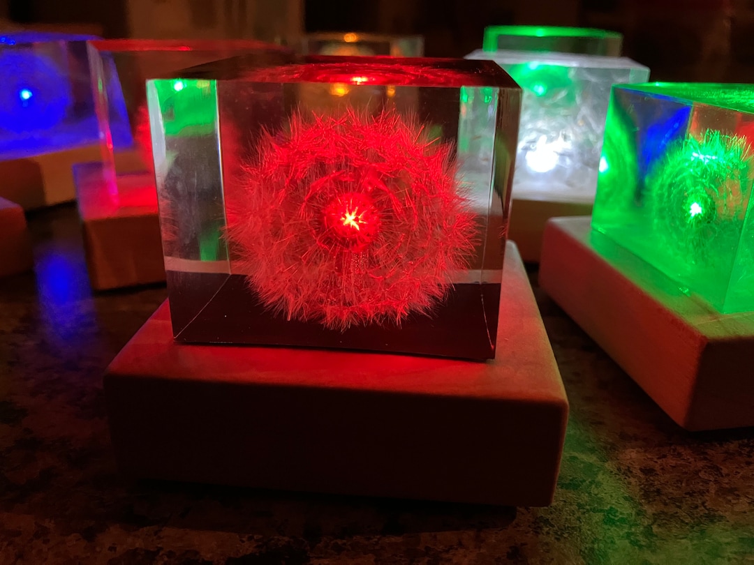 LIGHT UP Dandelion Cube / Resin Art / Keepsake / Handmade / Canada ...