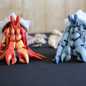 Hermit Crab Action Figure - Flexible and Posable - Complete With a ...