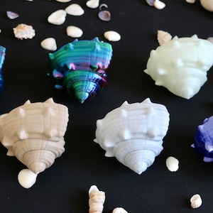 Hermit Crab Action Figure - Flexible and Posable - Complete With a ...