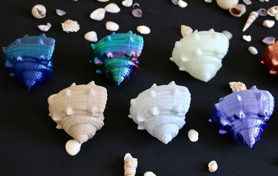 SHELL **ONLY** for Mini Hermit Crab Action Figure - Add Some Extra ...