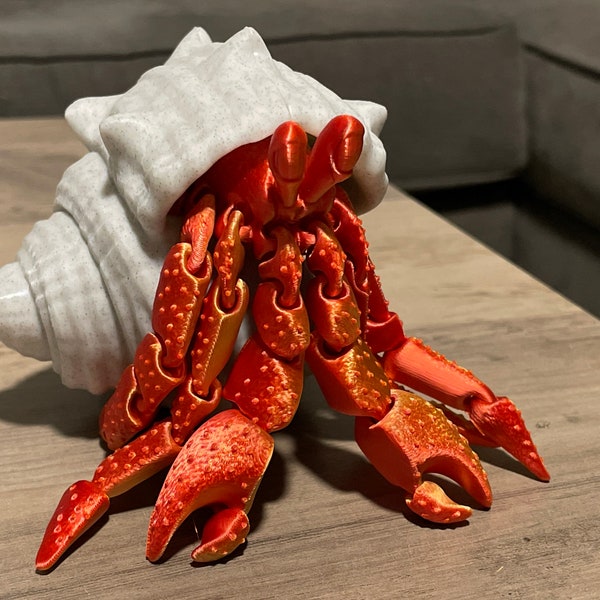 Hermit Crab Shell - Etsy