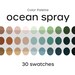 Ocean Spray Color Palette | Procreate, Illustrator, Photoshop | 30 ...