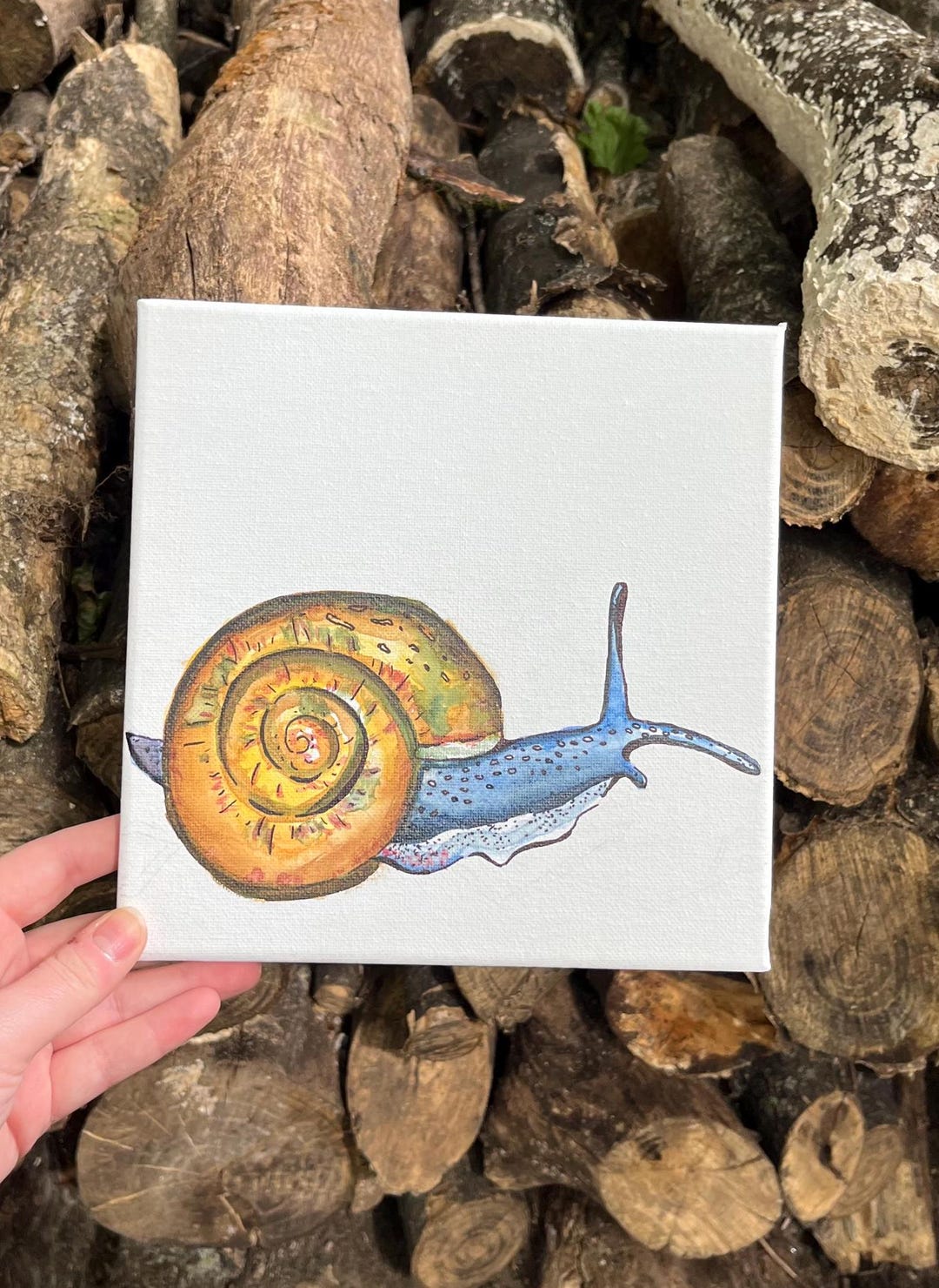 Original Watercolor Snail Painting - Etsy