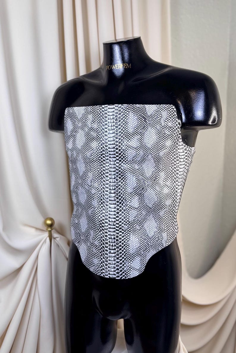 Silver Snake Print Corset Avant Garde Sculptural Bustier Lace up Armor ...